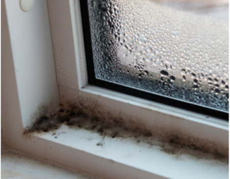 Damp, Mould and Condensation - Langley Trust